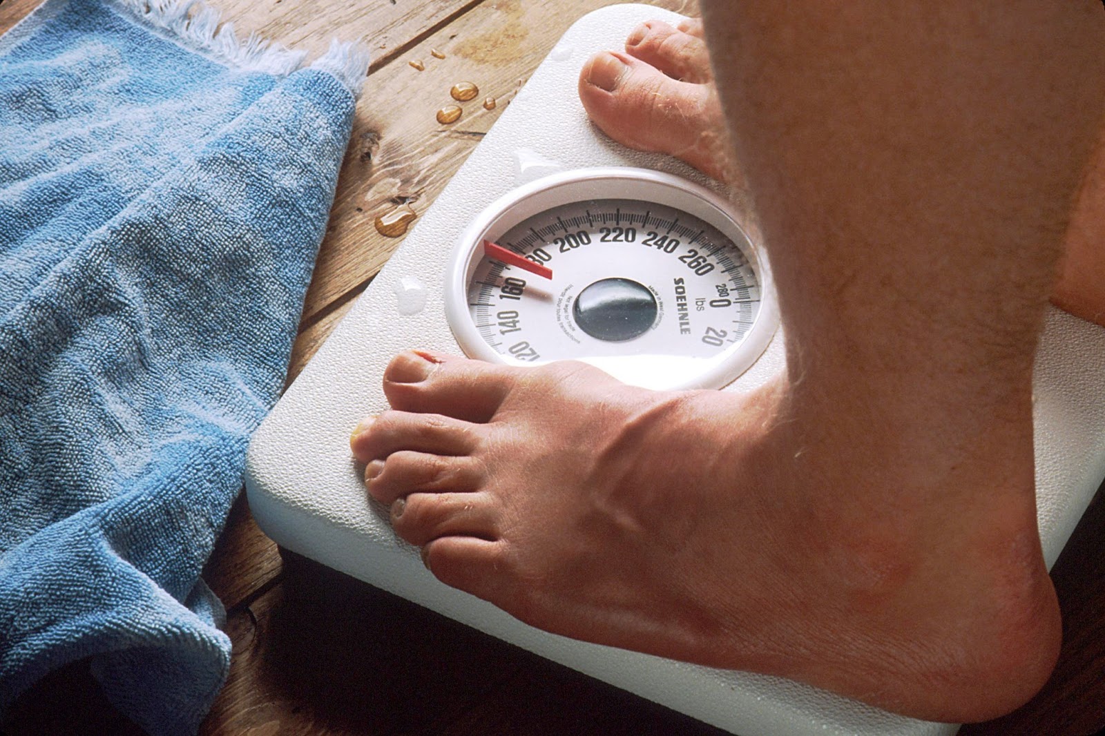 Easy Tips To Create A Weight Loss Plan Ibrahemnew Easy Tips To Create A Weight Loss Plan Ibrahemnew