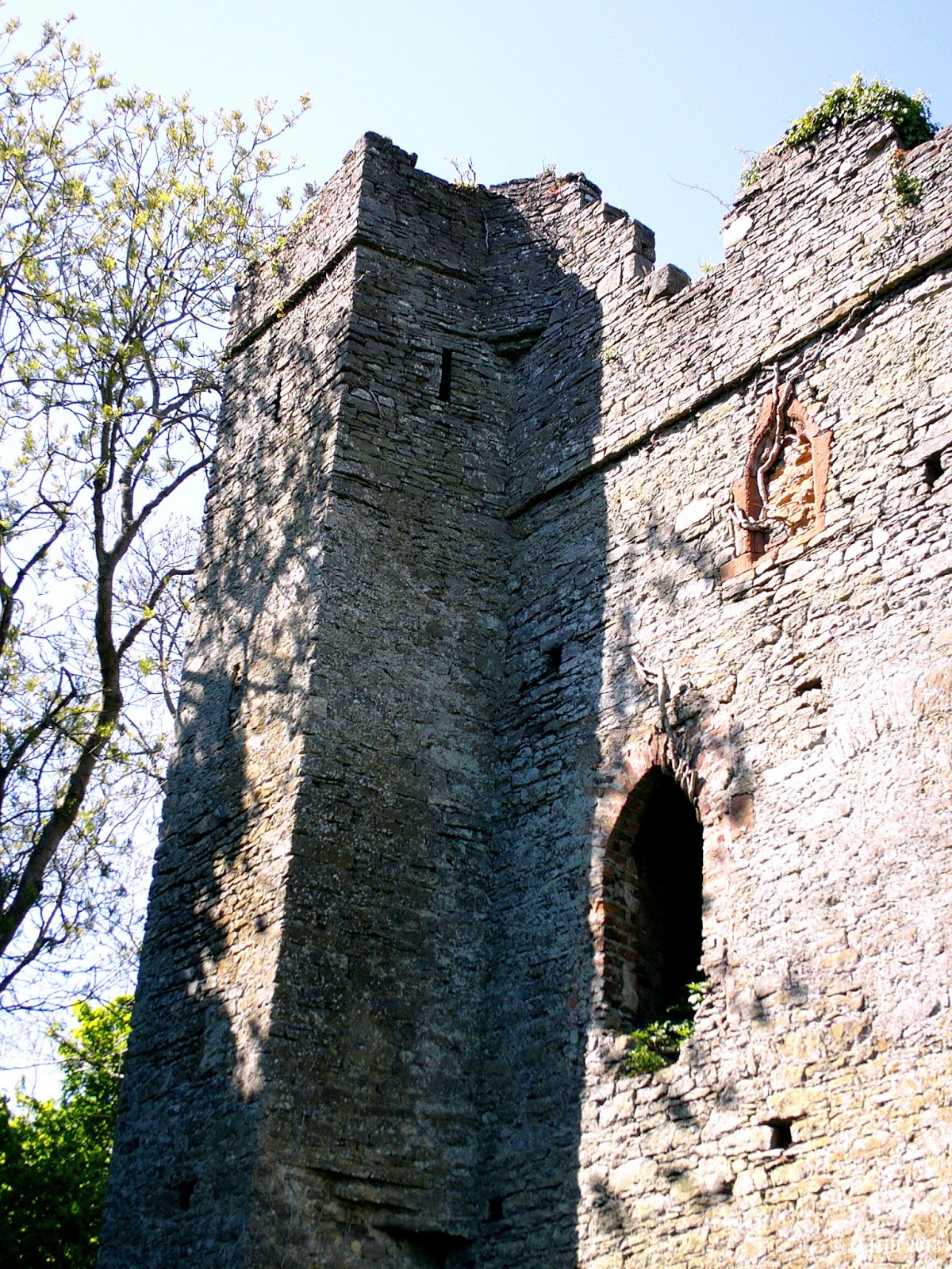Ireland In Ruins: Lanestown Castle Co Dublin