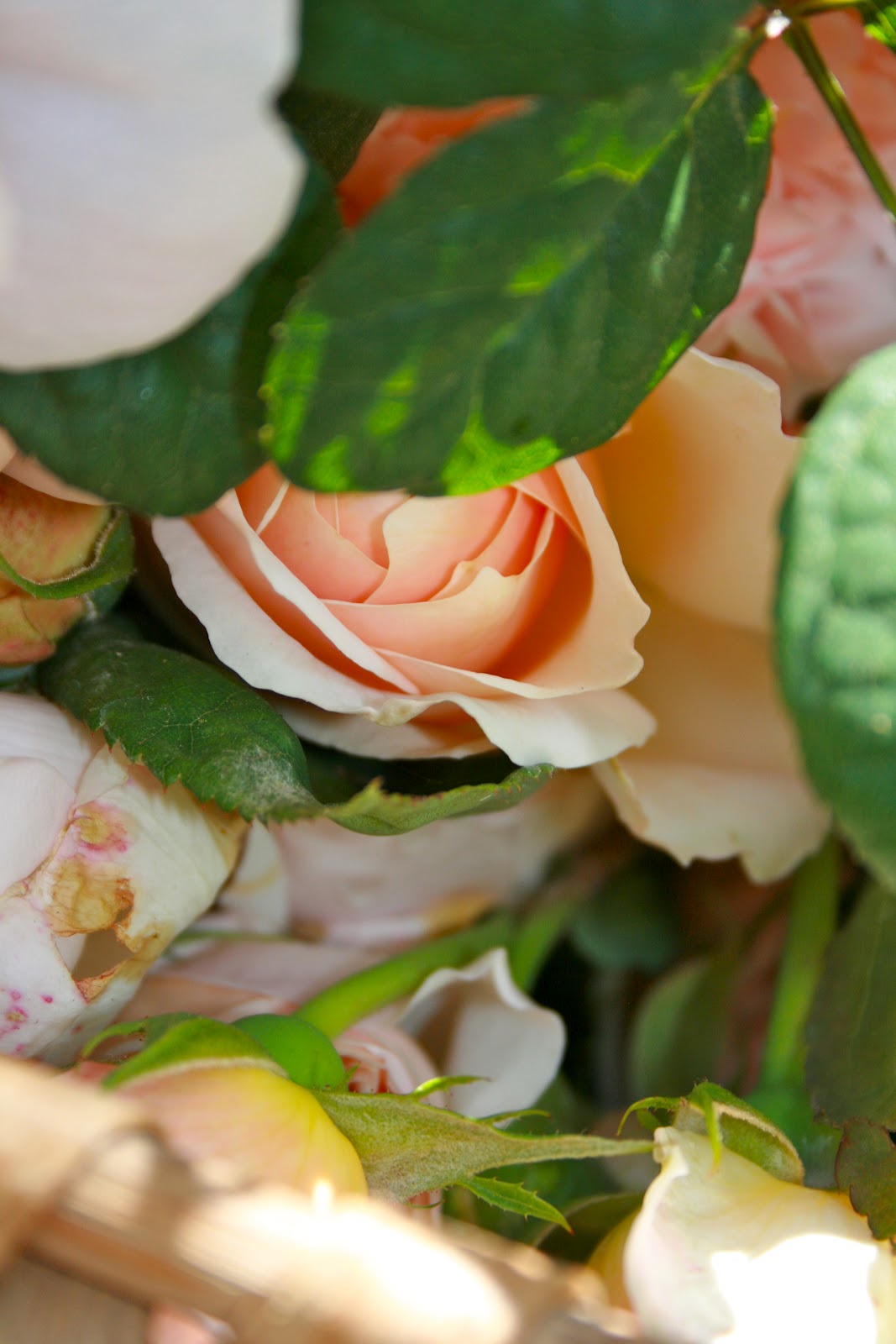 The Polished Pebble: Romantic Country Roses