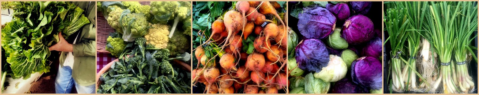 Notes from Maggie's Farm: The Seasonal Plate | What to Eat in September