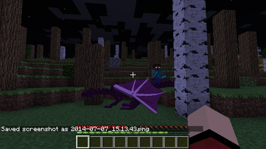 Minecraft Glitches and Bugs