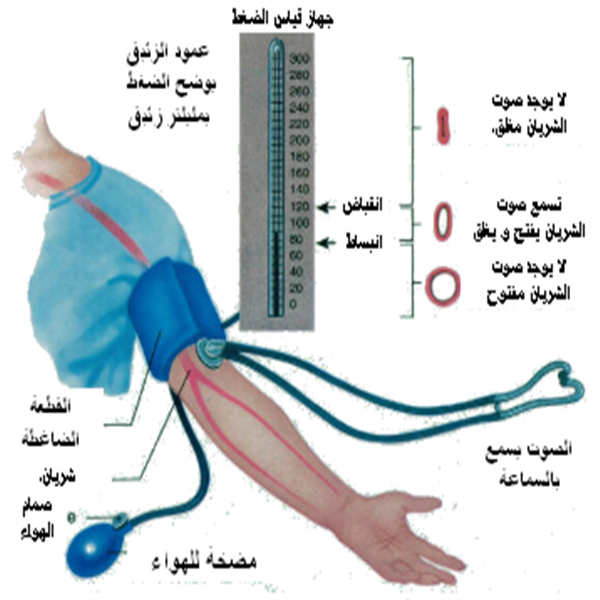 صيدلية العلواني كيفية قياس ضغط الدم بشكل صحيح