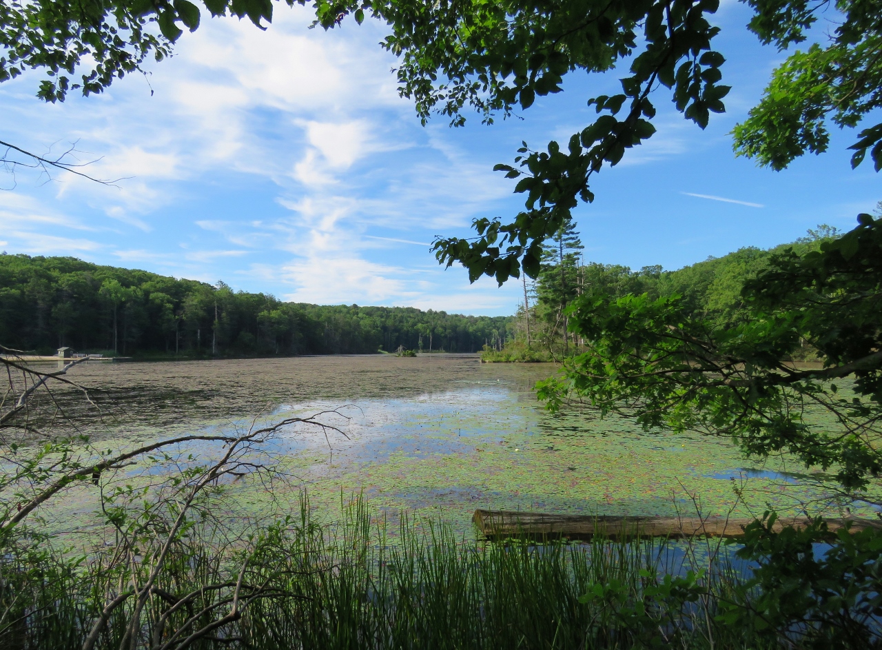 Gone Hikin': Fahnestock State Park, NY - Canopus Lake