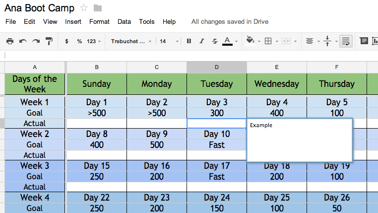 Mademoiselle Mia: Diets: Ana Boot Camp Spreadsheet