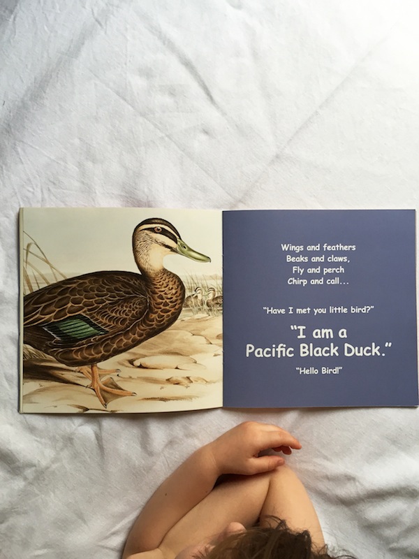 THE INDIGO CREW | Creative living with kids: HELLO BIRD! BY DONNA DYSON