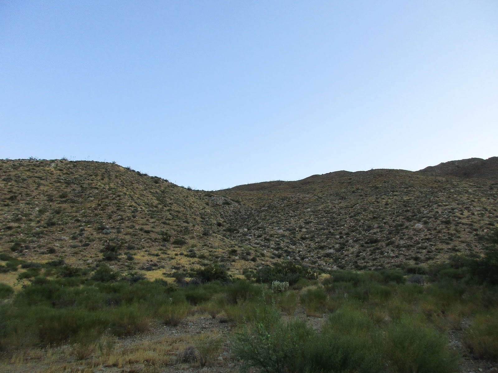 Iron Hiker: Grapevine Mountain