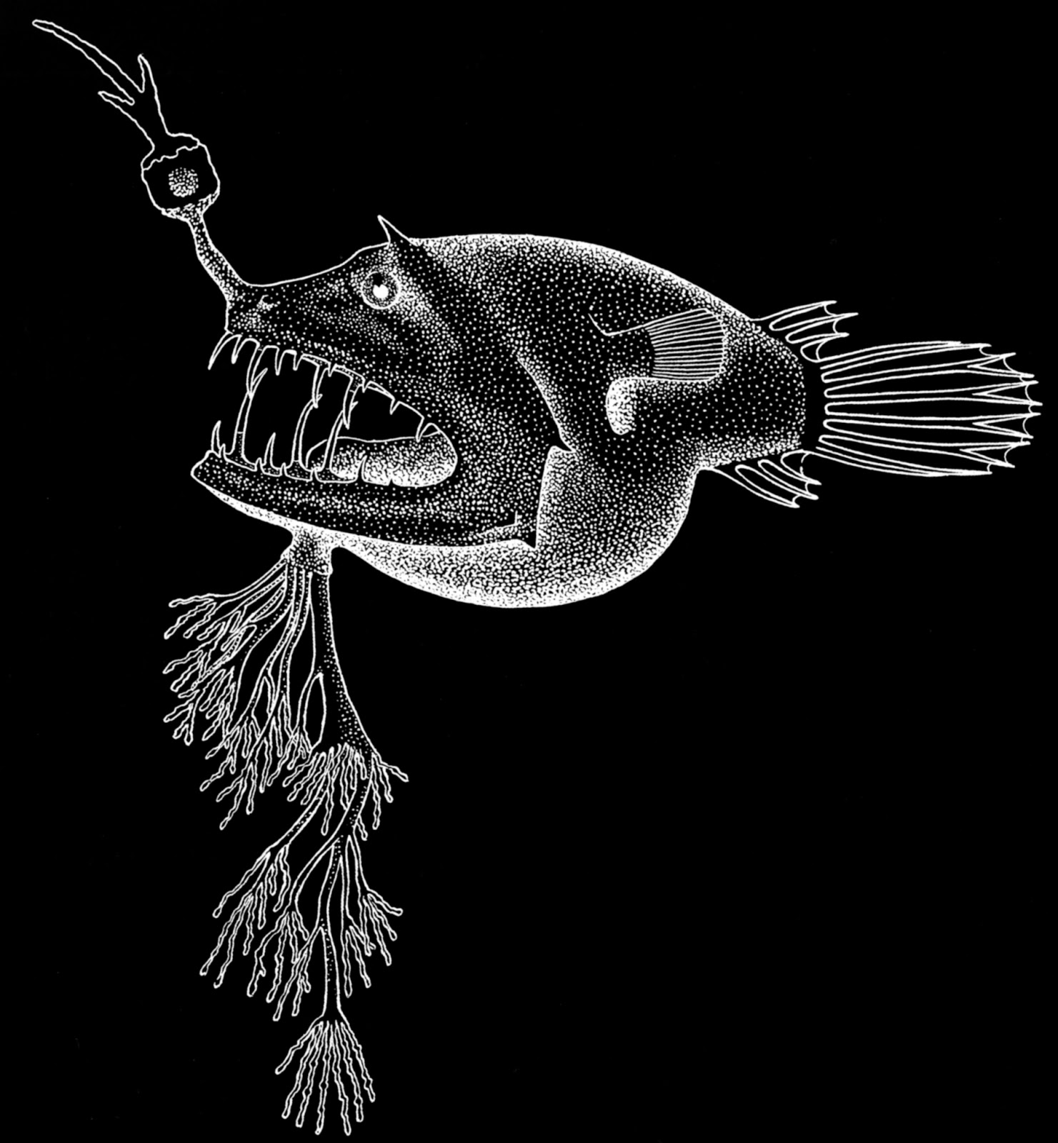 LAND OF THE DEAD: May 2013