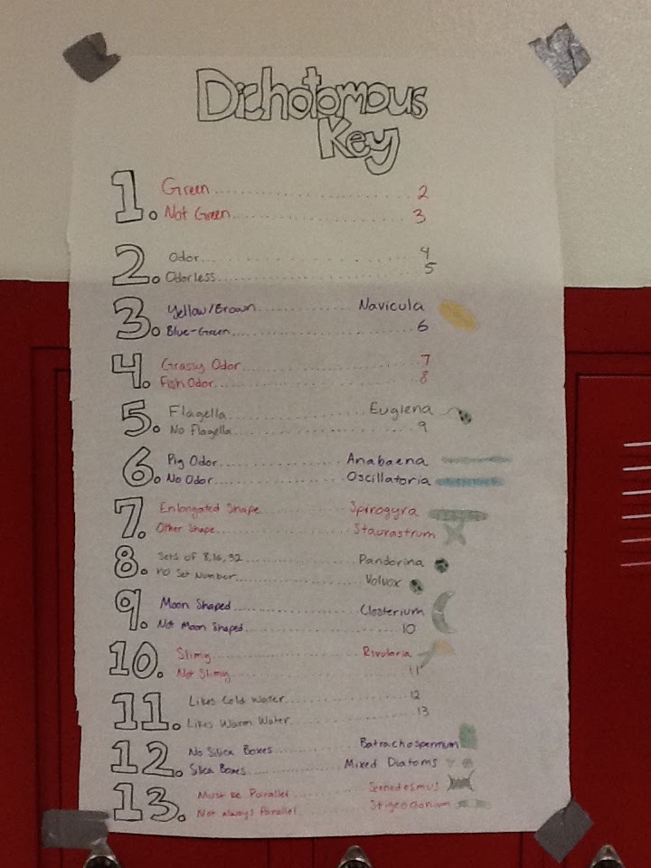 Teaching Aquatic Science: Freshwater: Dichotomous Key AKA Thinking Map