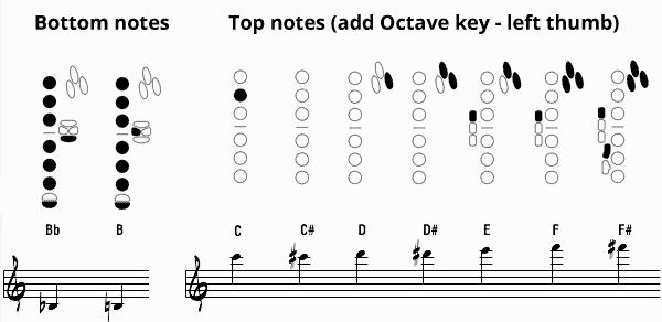 SAKSOFON |||||: LEKCIJE SAKSOFON