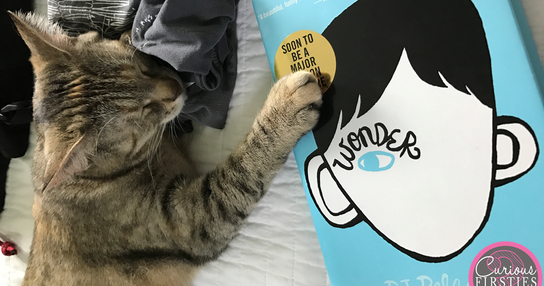 Curious Firsties: Staff Book Club