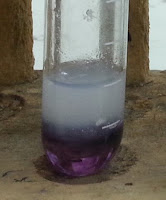 Praktikum Biokimia (Uji Molisch)