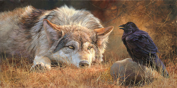 White Wolf : Wolves and Ravens: A Curious Relationship (Video)