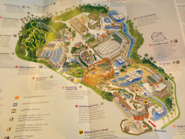 Observe the world: RWS Adventure Cove Waterpark Sentosa