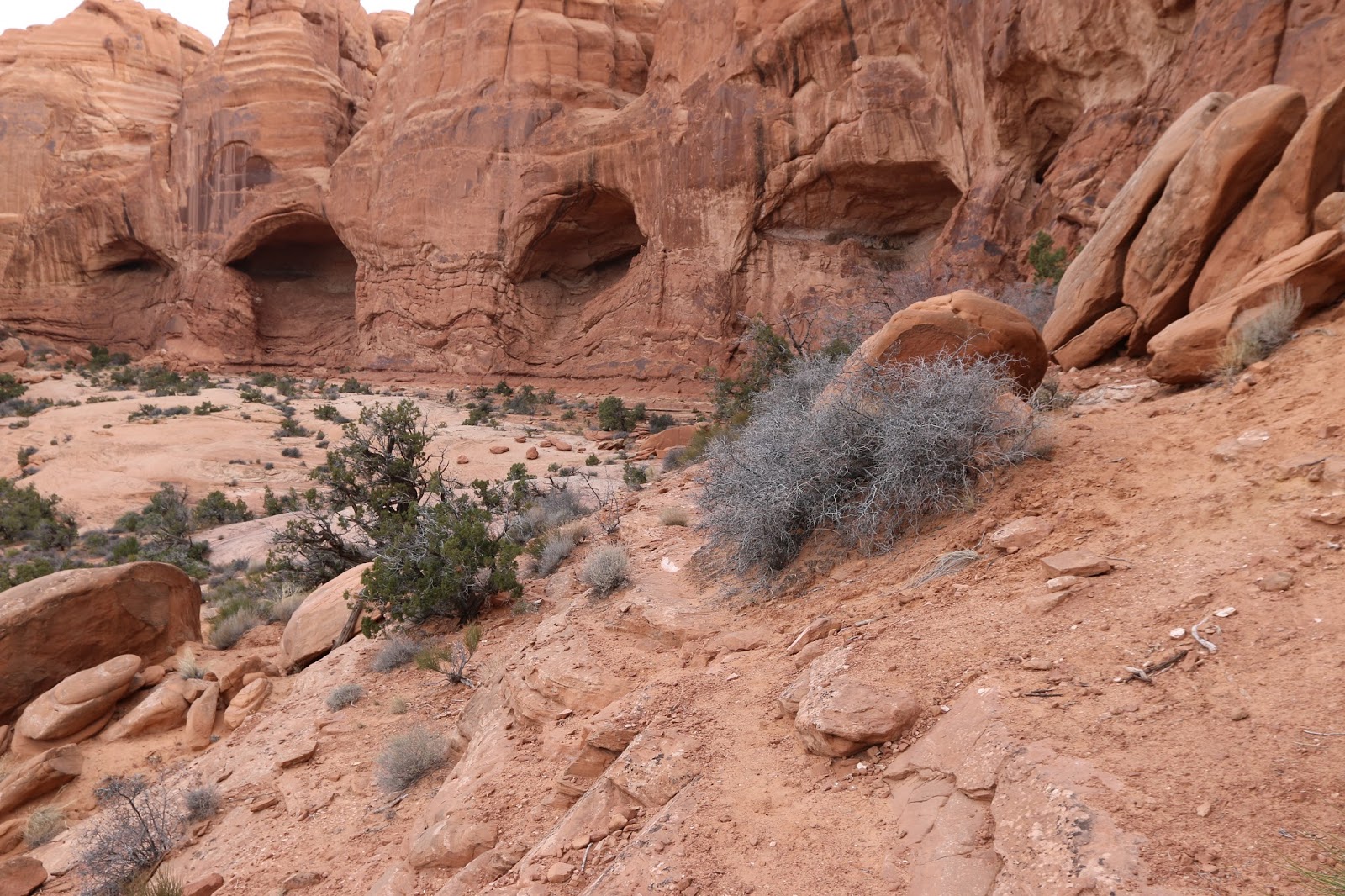 gjhikes.com: Cove of Caves