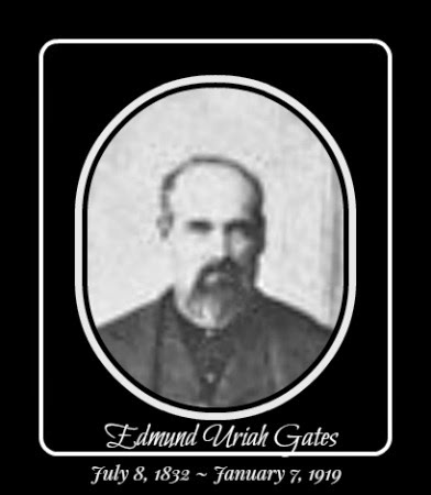 The Vintage Vignettes