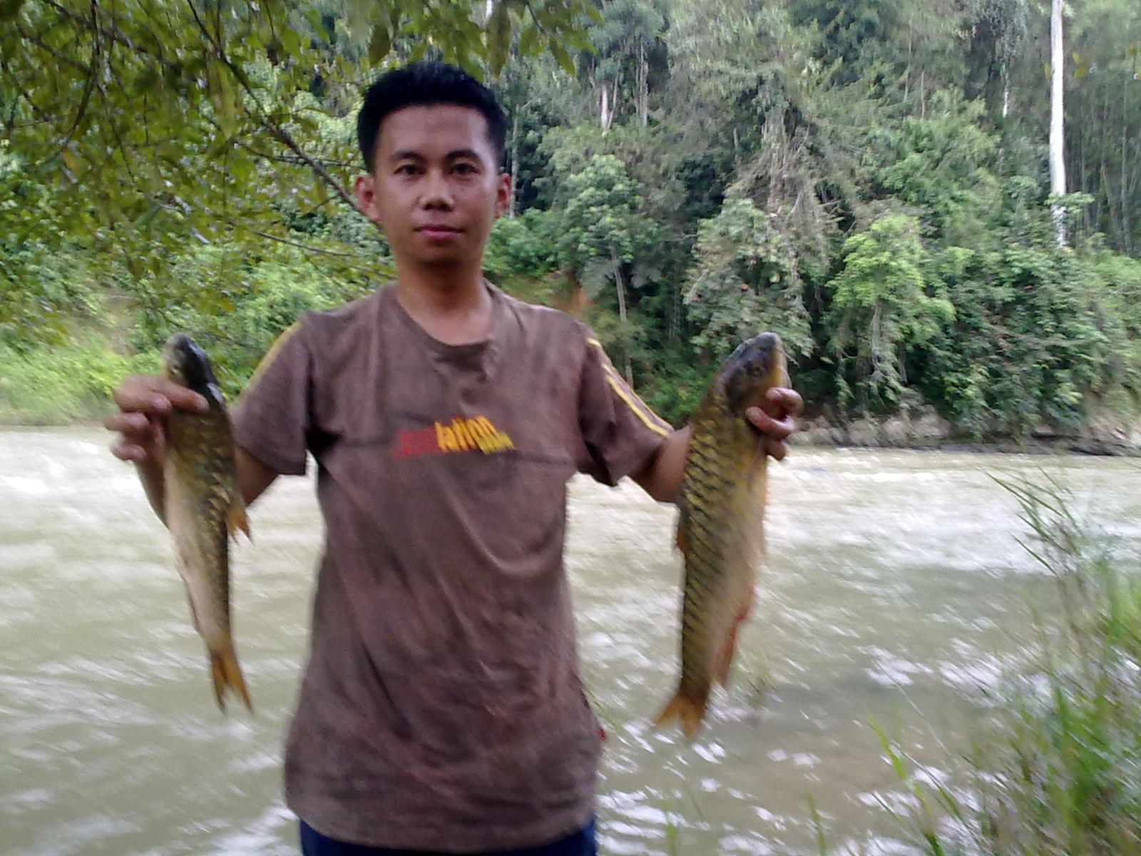 9W6MRH: Ikan Besar