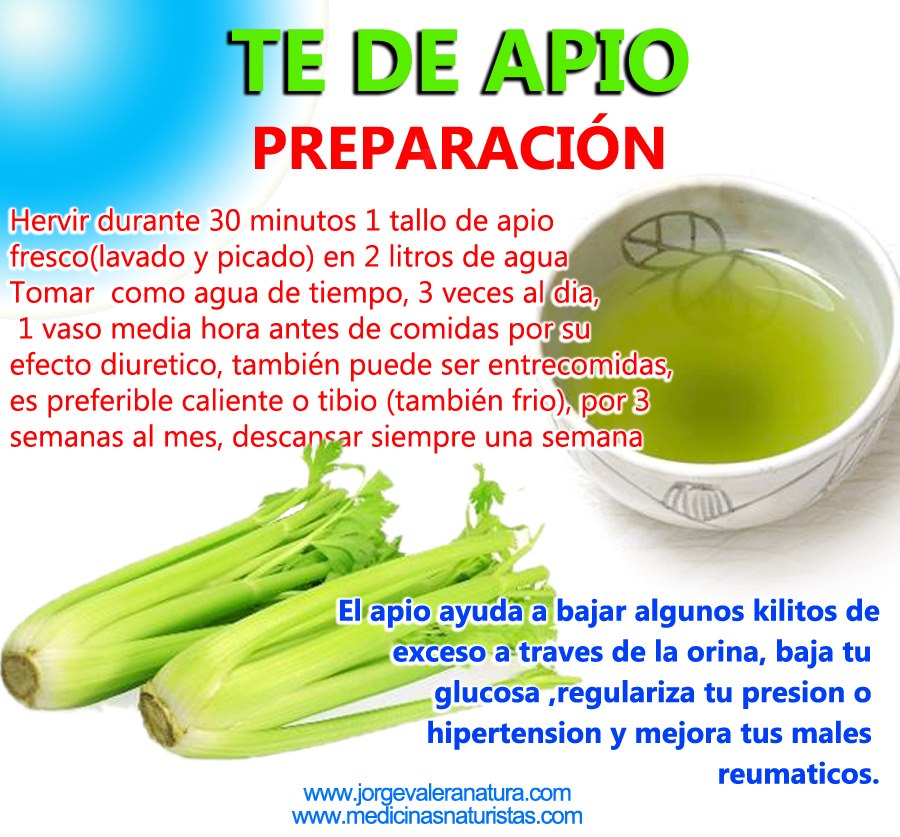 De gorda a sana/From Fat to Fitness: Té de apio