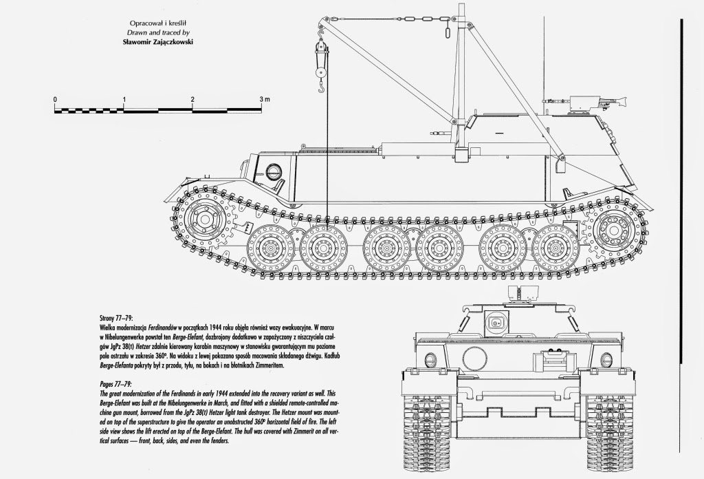Axis Tanks and Combat Vehicles of World War II: Bergepanzer Tiger (P)