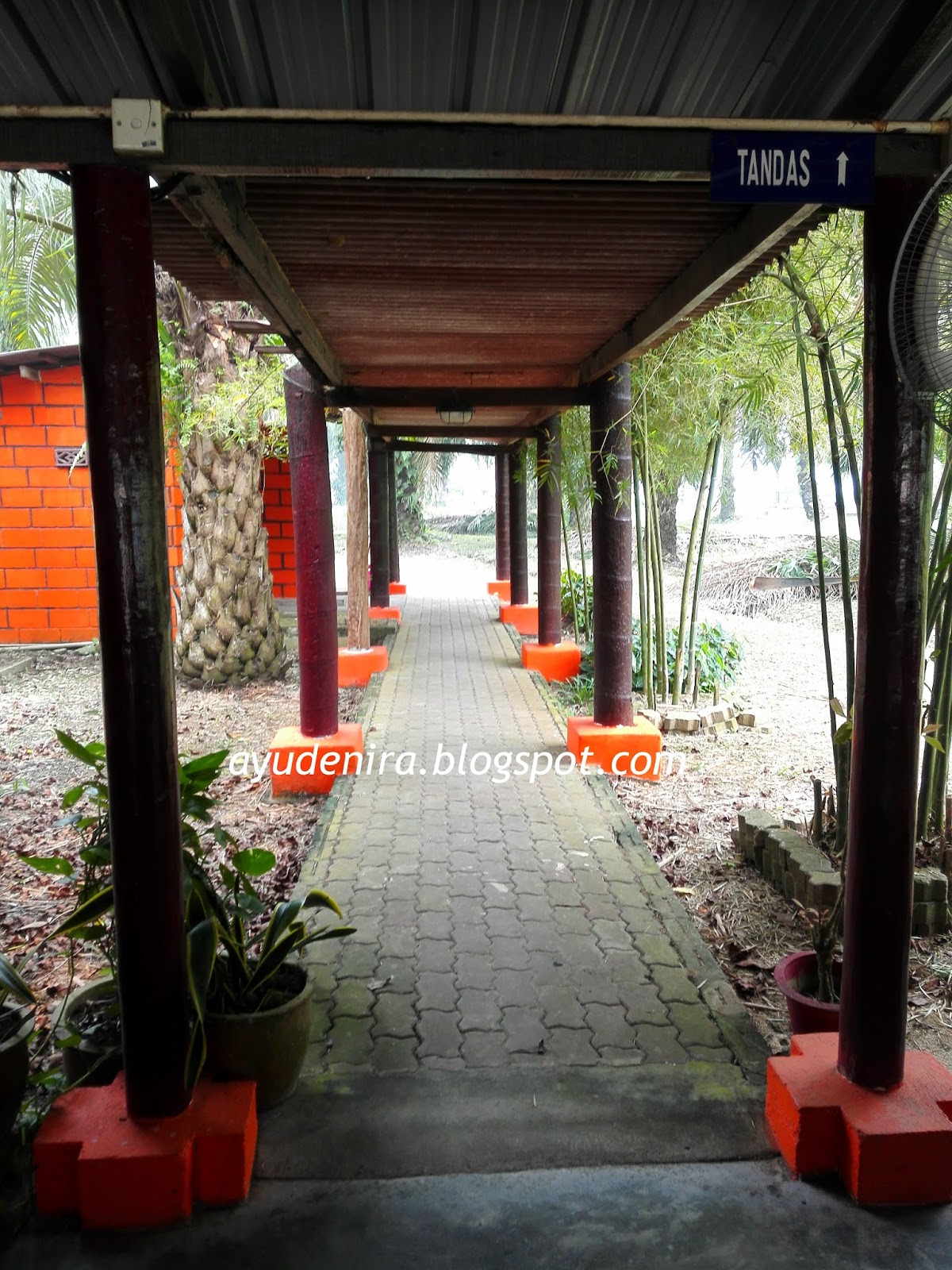 AyuDenira: Selera Rimba - Eksotika Food..