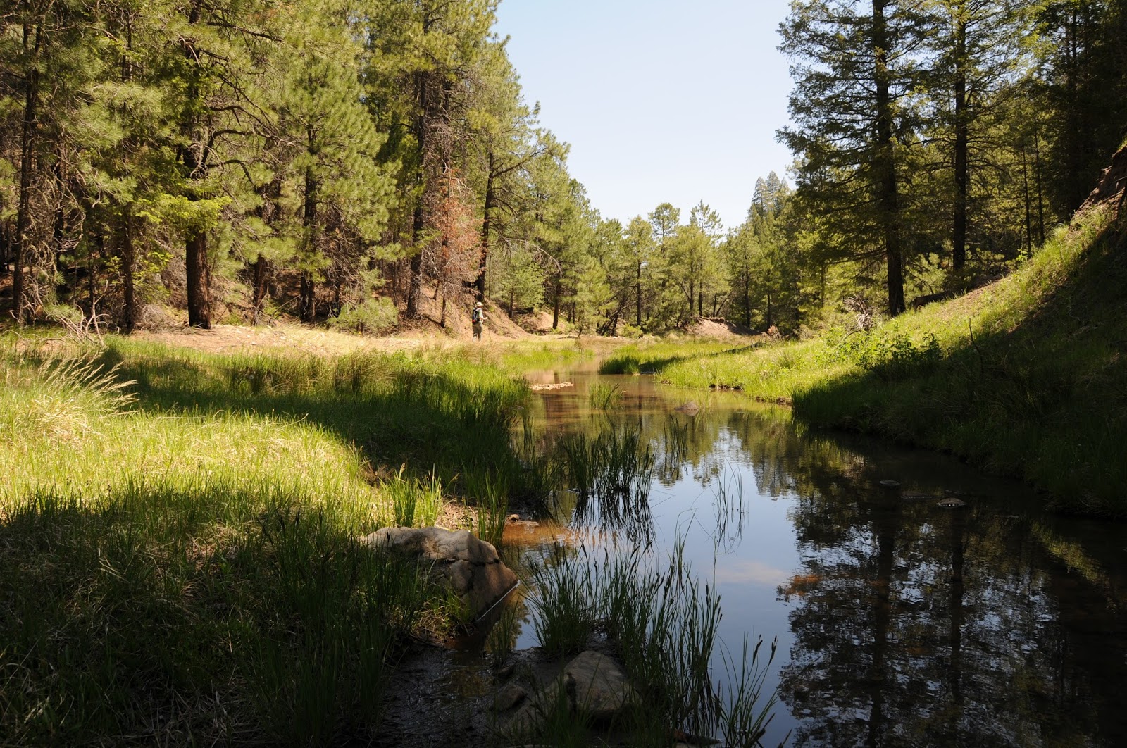 Arizona Hiking: BLUE RIDGE PASSAGE #28 of the ARIZONA TRAIL