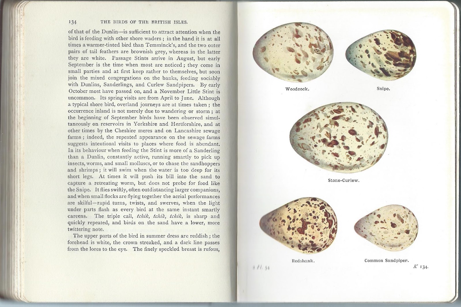 Miss Phoebe's Perch: Reminder of 100th post giveaway, and some lovely ...