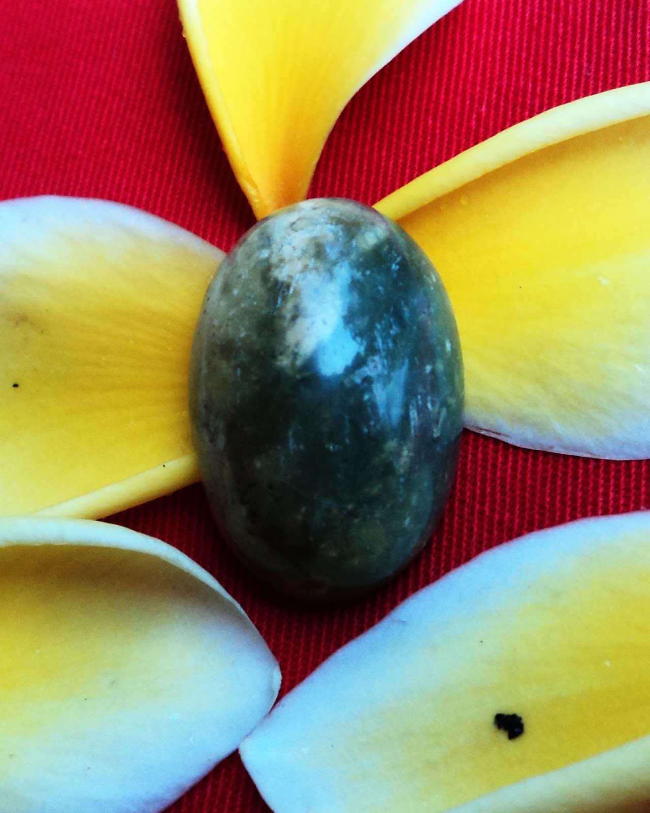 - Padepokan Mustika Sakti