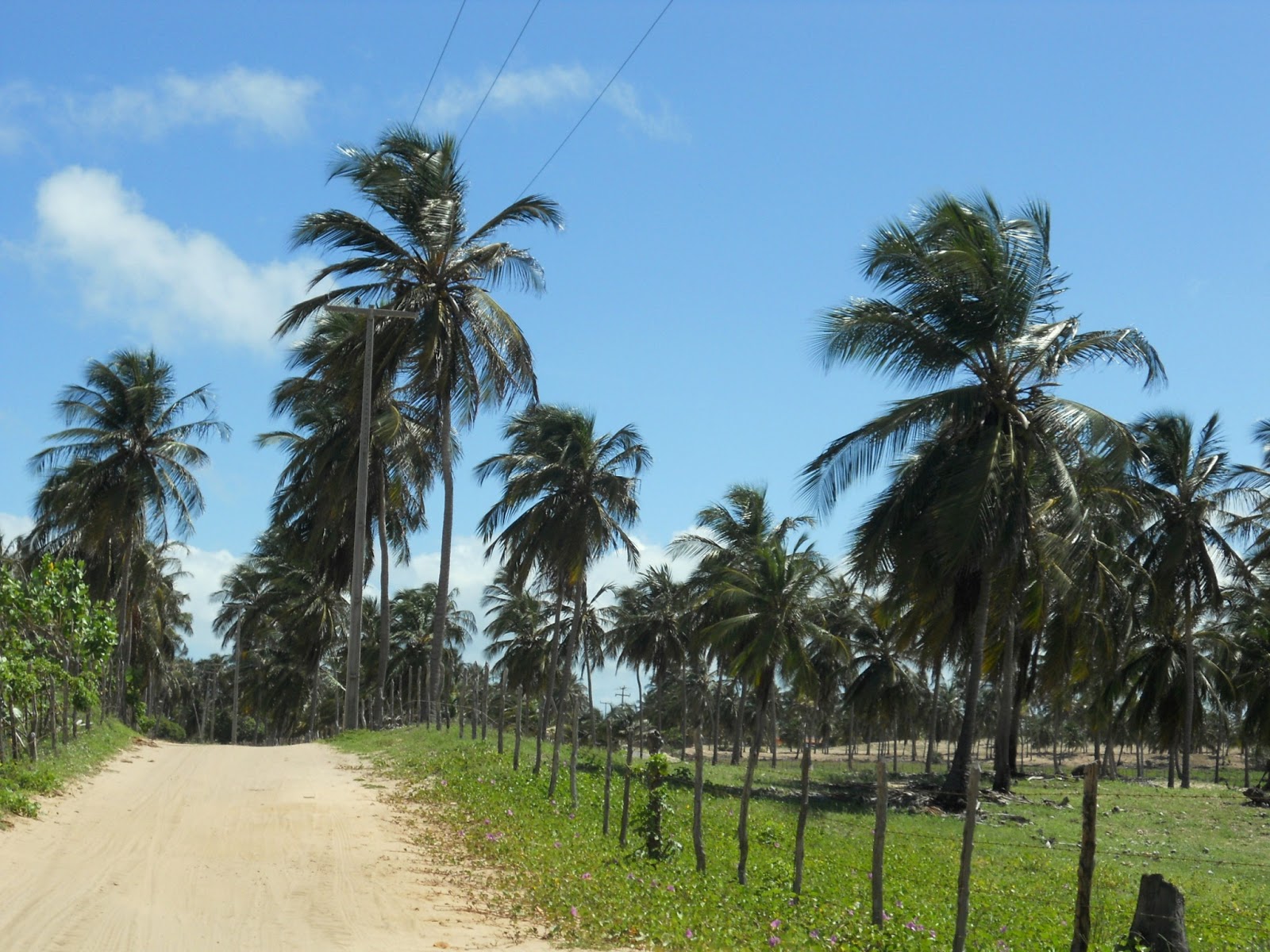 Cultura Ciliar - Conciliar a Natureza com a Cultura: Viagem a Itarema ...