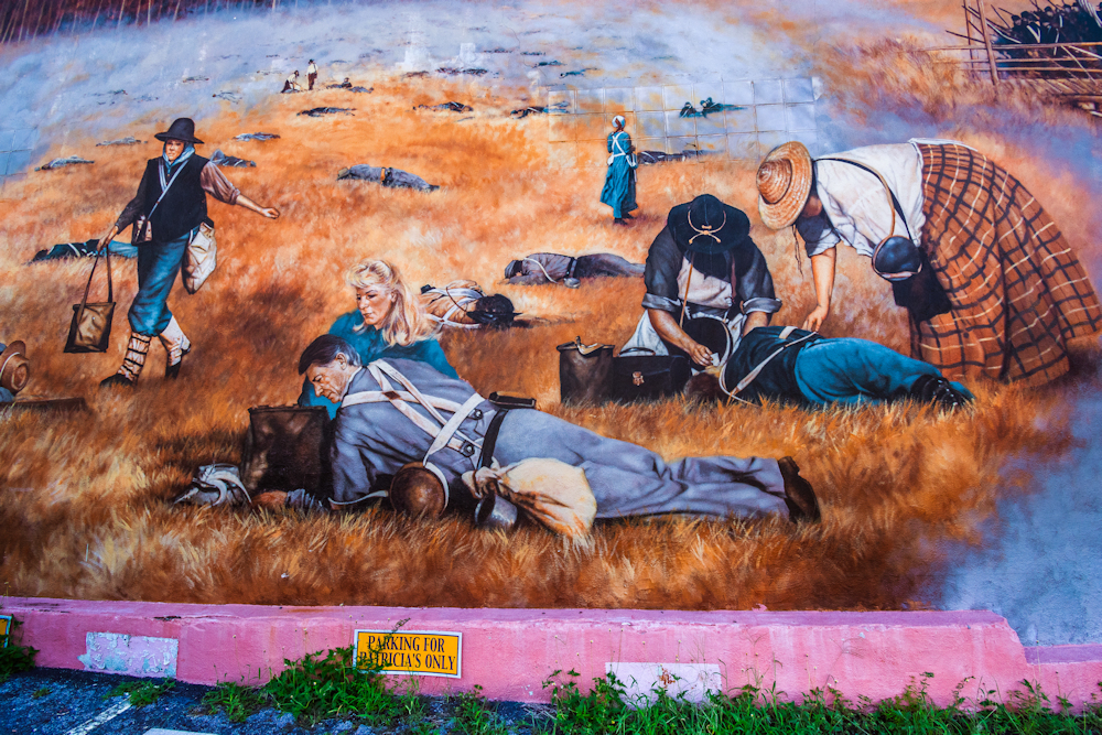 mural trailing ... Brooksville, Florida