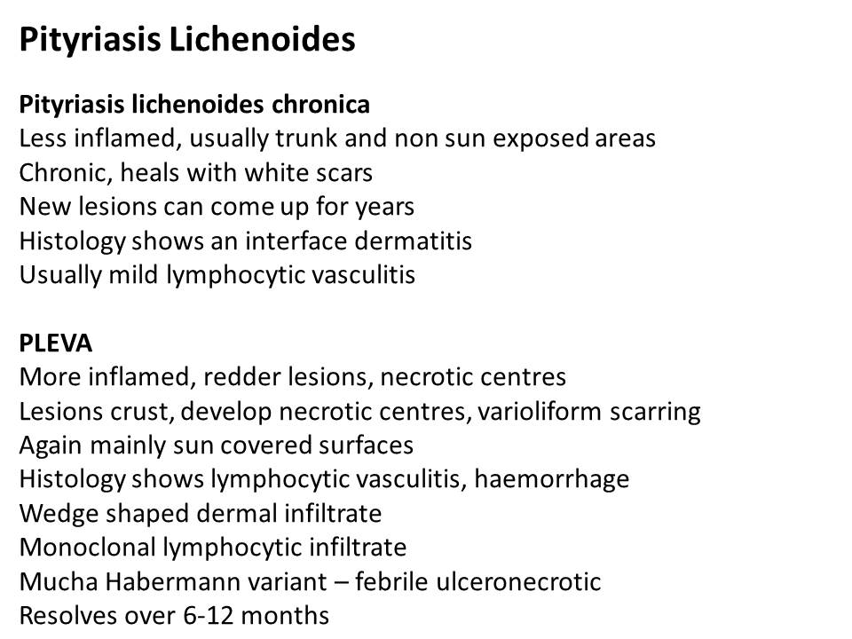 Consultations in Dermatology: Pityriasis Lichenoides PLEVA