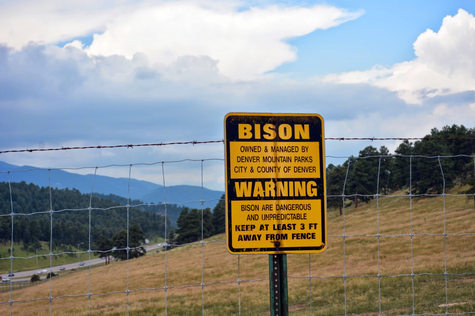 ...How To Get That Buffalo Home in One Piece... | Smith & Wesson Forum ...