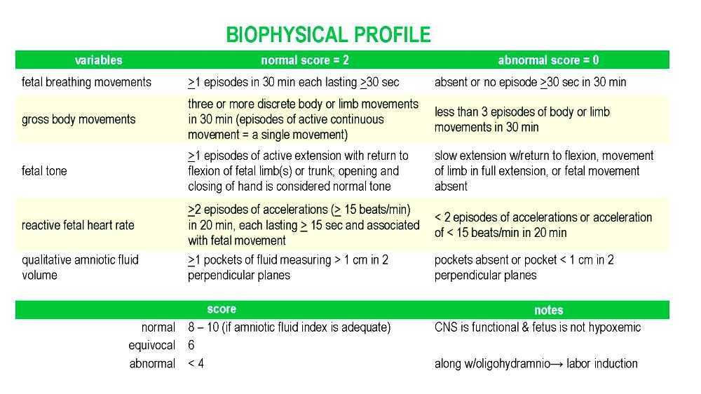 Biophysical profile