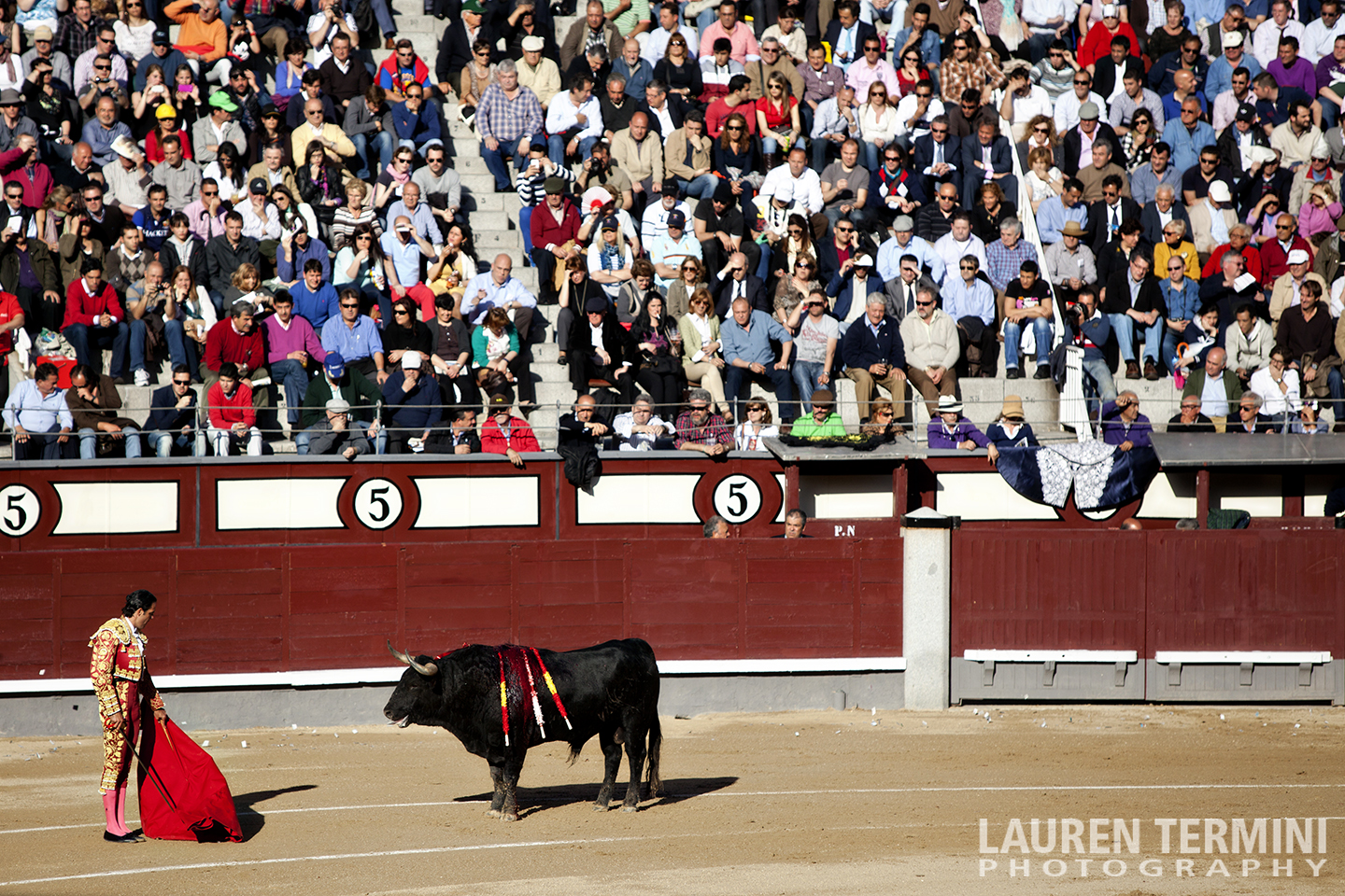 Lauren Termini Photography: France|Spain Last Day • Madrid, Spain- Bull ...
