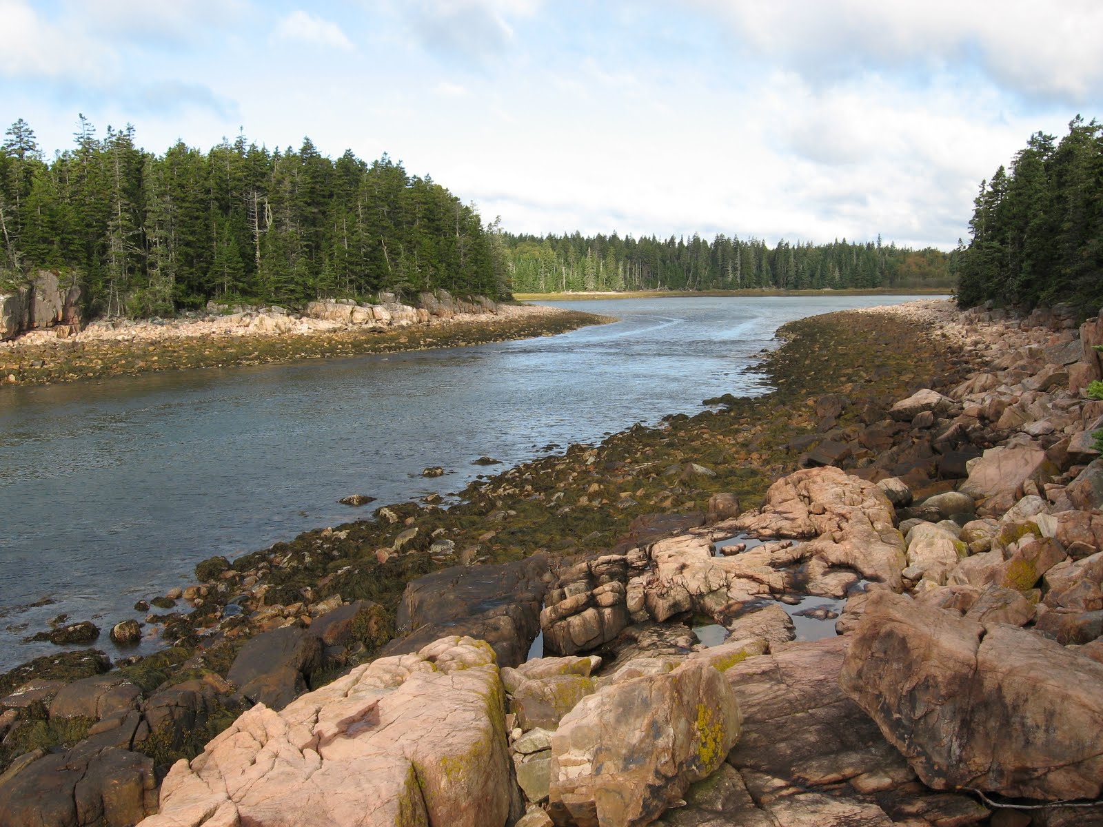 Ship Harbor Trail, Acadia National Park