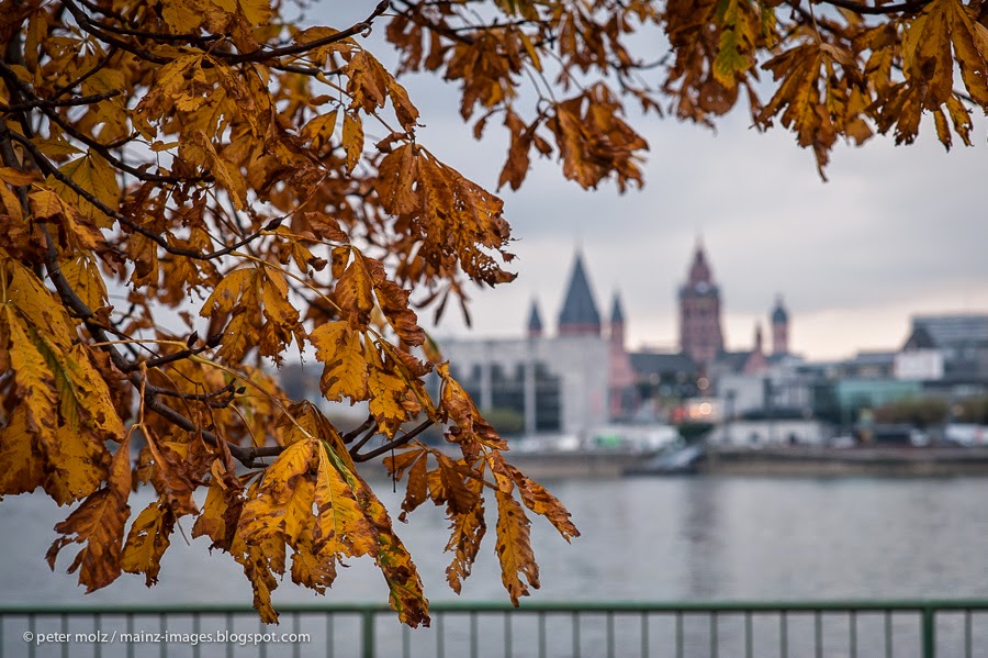 Mainz-Images: Herbstimpressionen - Mainz-Kasteler Rheinufer
