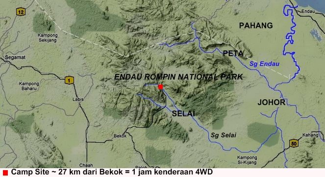 Diari Keluarga Firdausi: Endau Rompin - Laluan Selai