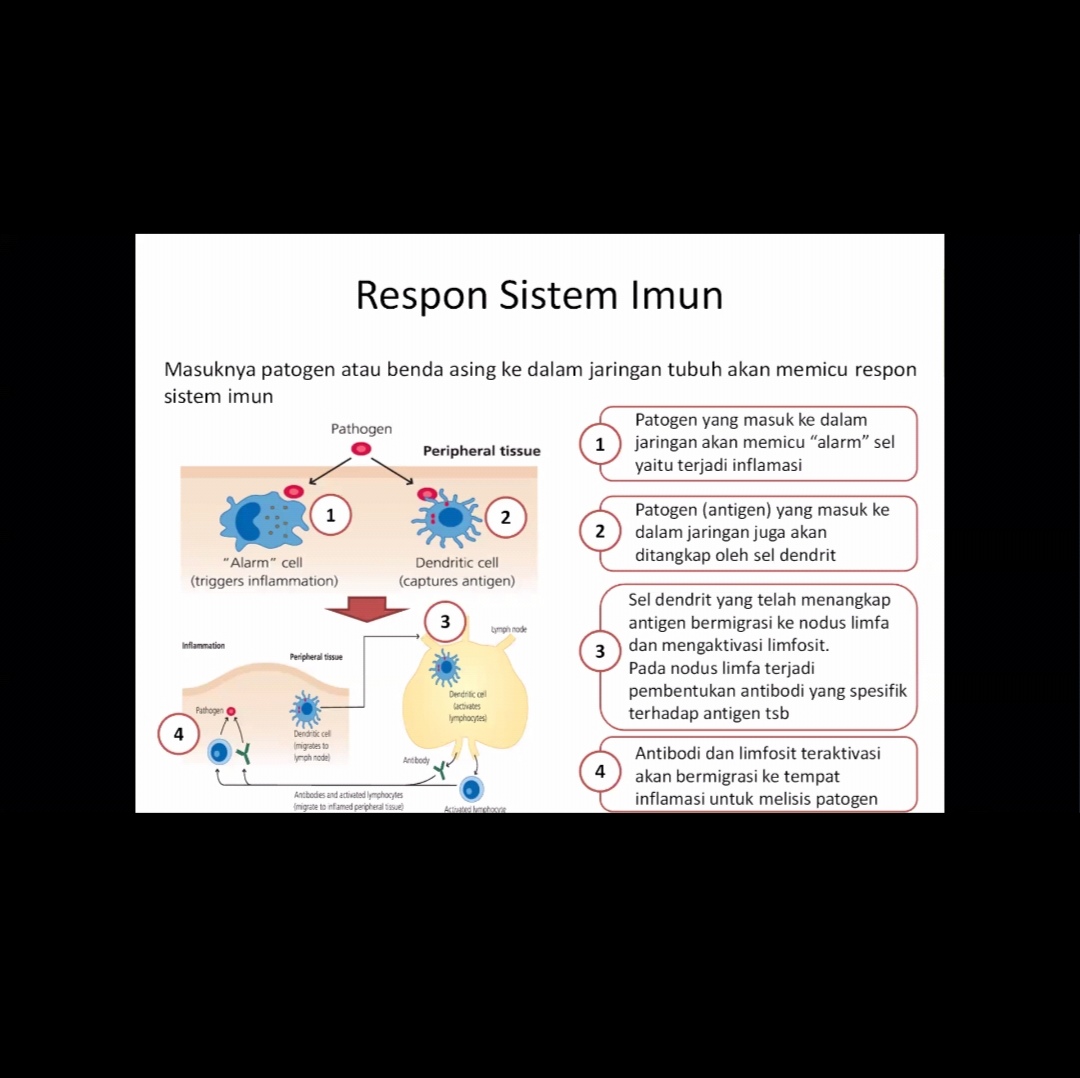 Jaga Imunitas Keluarga dengan Imunomodulator Herbal — Heni Puspita