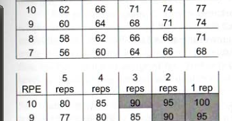 쇠질덕후: The Reactive Training Manual, Tuchscherer, mike, pp.14~17, pp.54 ...