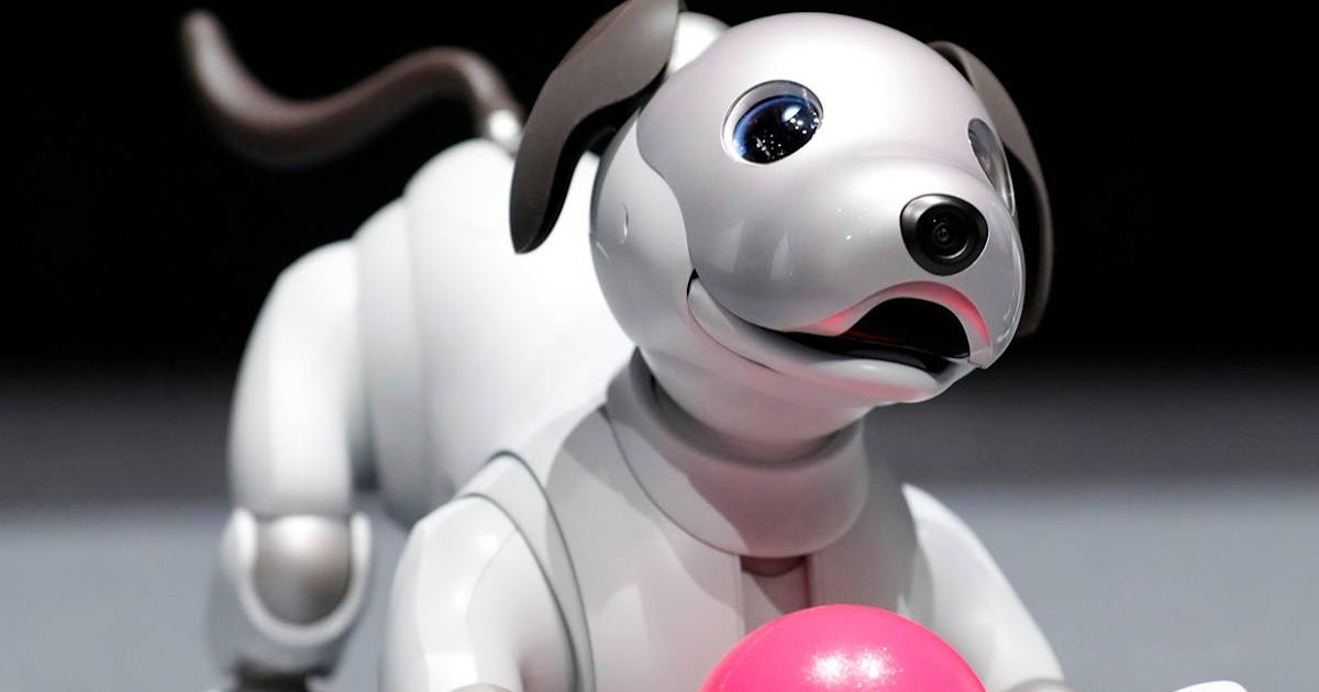 FEDERICADAS: Las aventuras de JC: el perro robot.