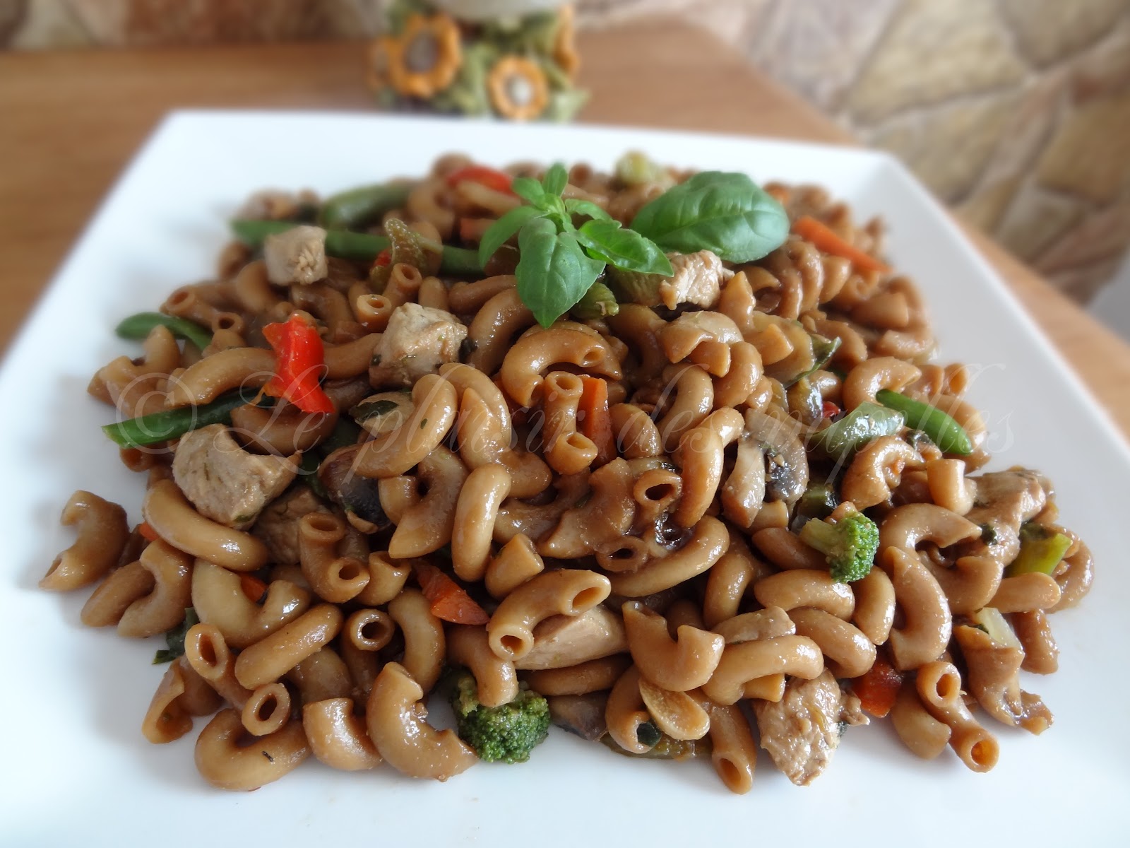 Le plaisir des papilles: Macaronis chinois au poulet