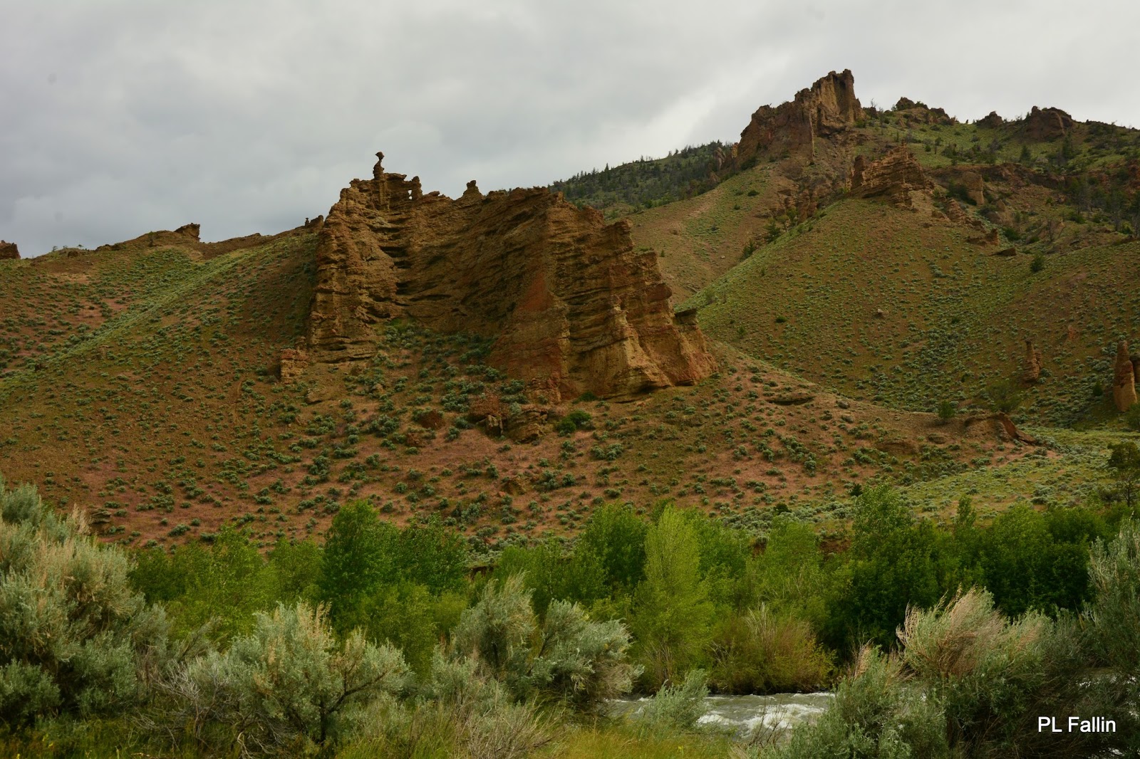 PL Fallin Photography: Wapiti Valley