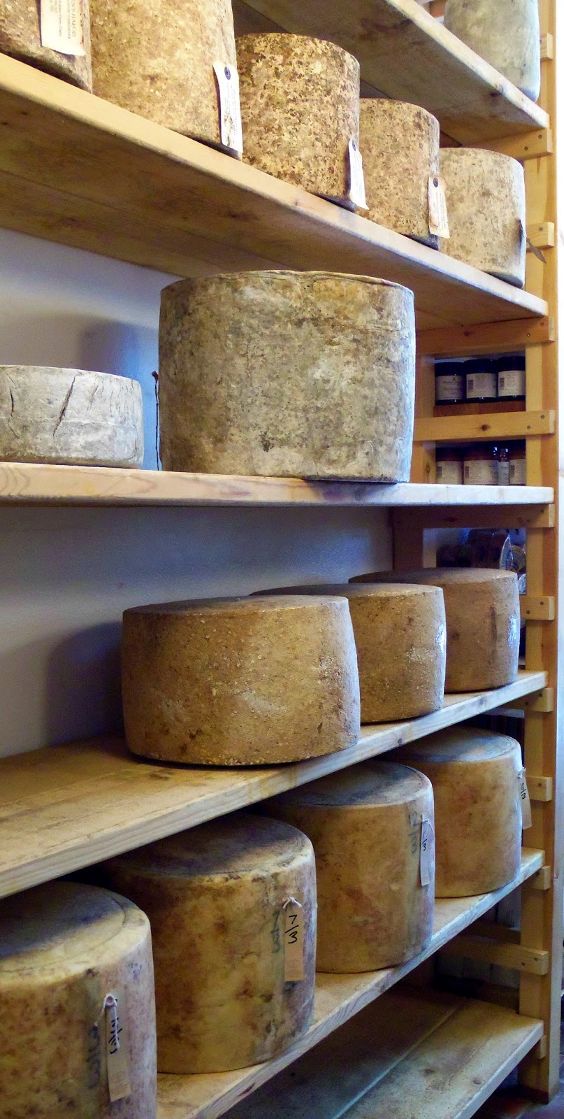 animum advertere: Cheese, Beautiful Cheese