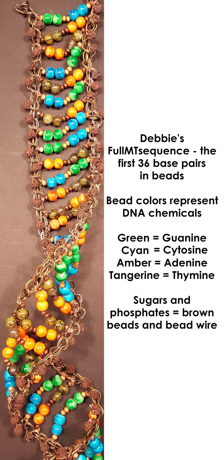 Deb's Delvings in Genealogy