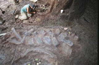 Paleontología Noticiosa: Fósiles del Tomayate: un tesoro en espera