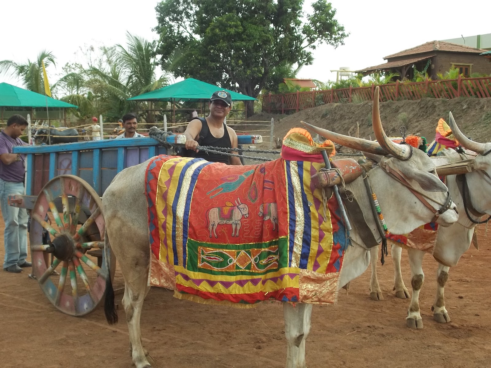 Wanderlust: Morachi Chincholi