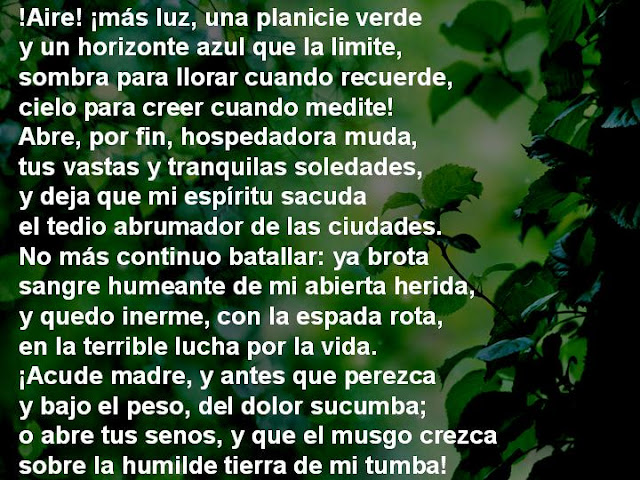 D: DÍA MUNDIAL DE LA TIERRA