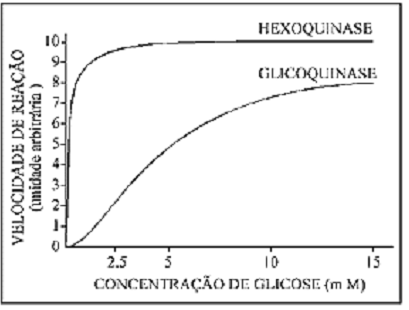 Biologia no Vestibular: (UFRJ 1997) - Proteínas