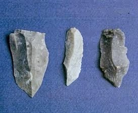 CIRI-CIRI ZAMAN PALEOLITIKUM ~ Ganang Alfianto