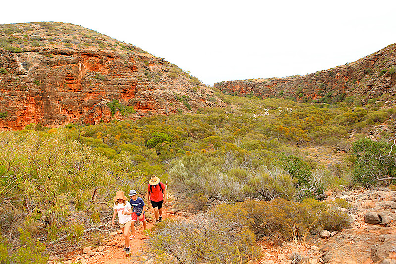 THE LONG LAP AROUND...: A stay inside Cape Range National Park...