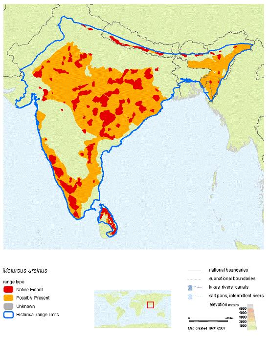 Melrusus ursinus on the Indian Subcontinent: The Sloth Bear