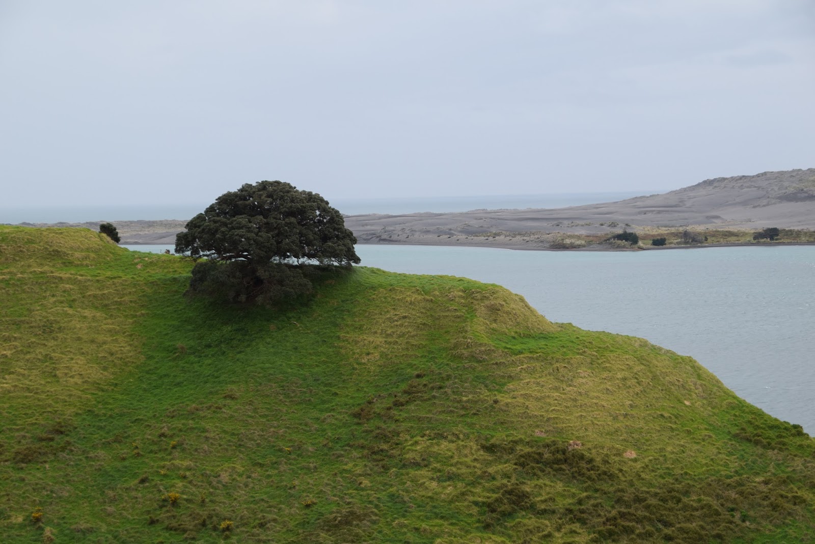 Love and Happiness: Kawhia, Aotea and hot water beach